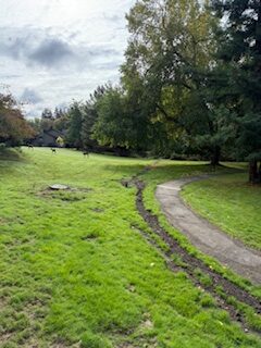 Photo Galleries – Shadowood Greenways