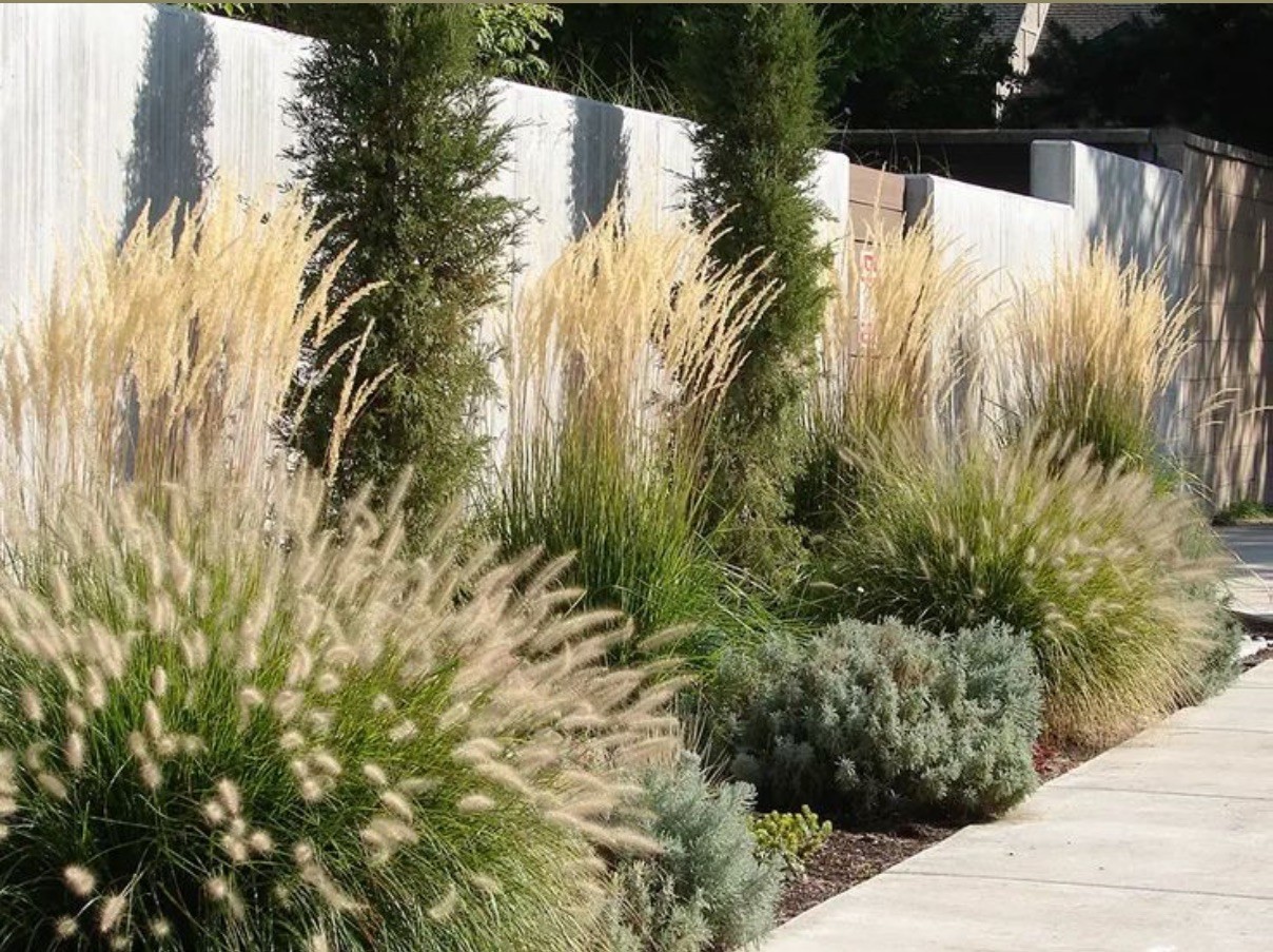 Wallace wall beautification project – Shadowood Greenways